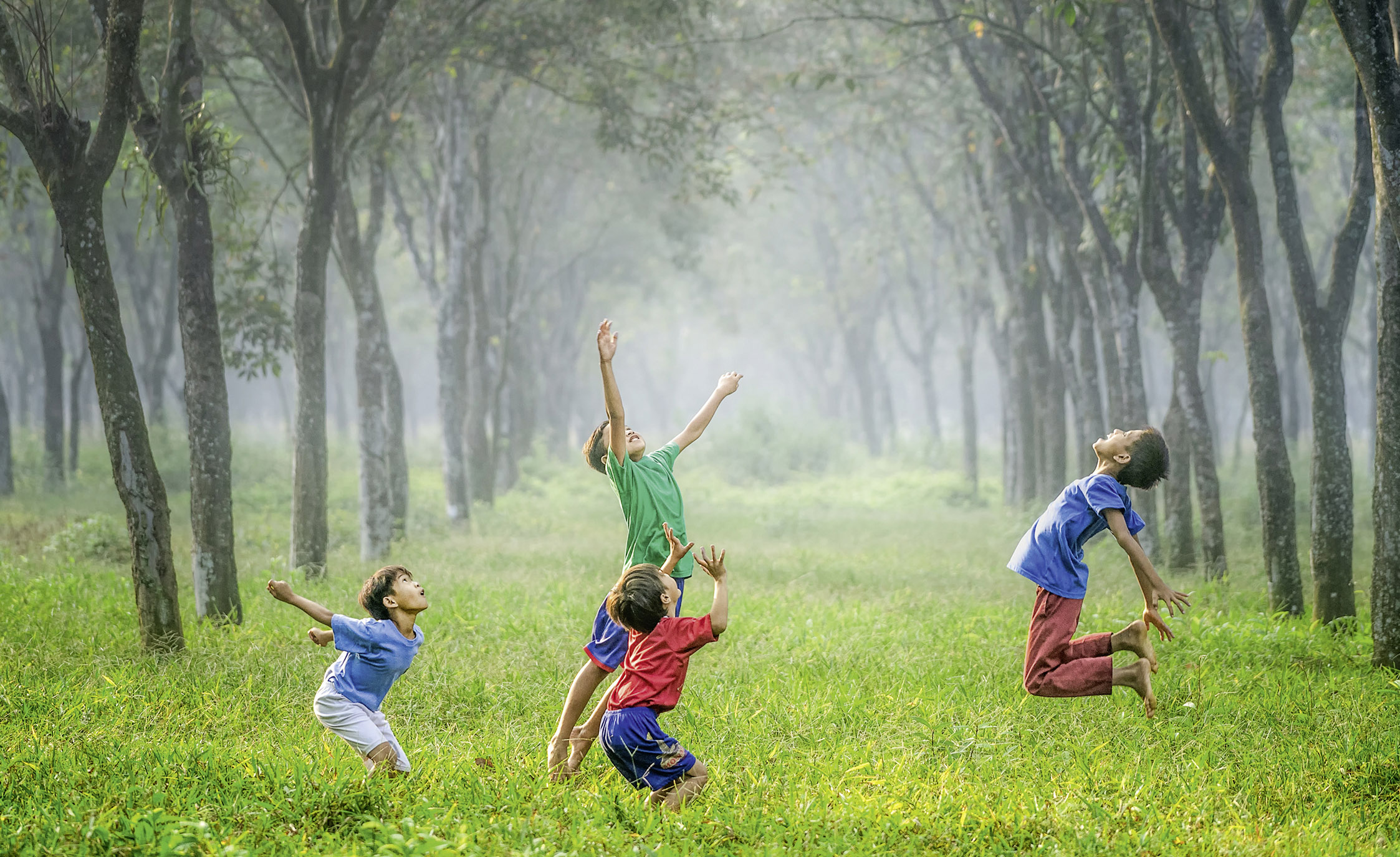 El verbo dar | Ecos Online